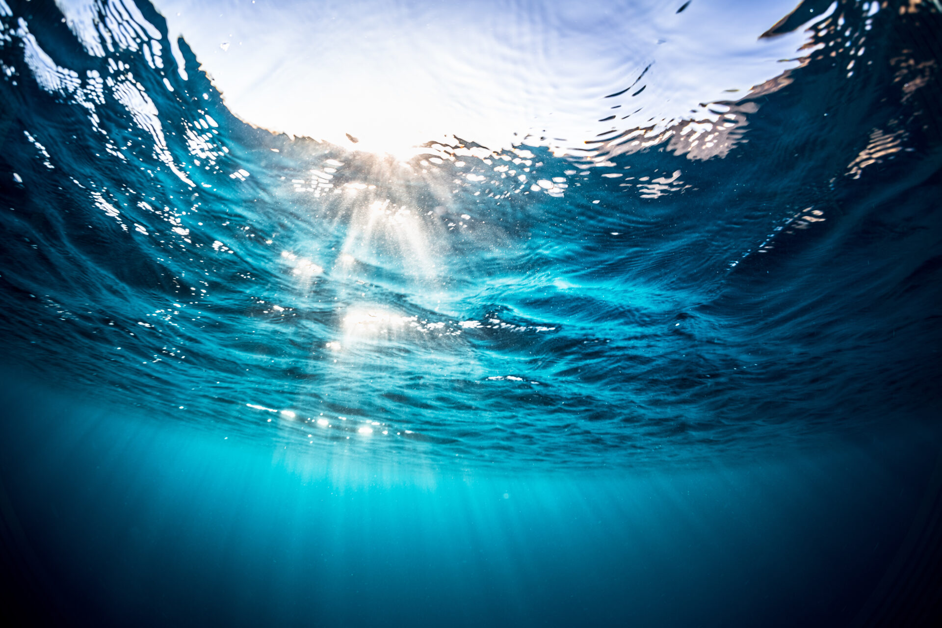 Why is the ocean salty? Understanding the Science Behind Ocean Salinity ...